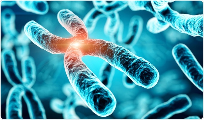 Applications of Conditional Gene Knockout Technology