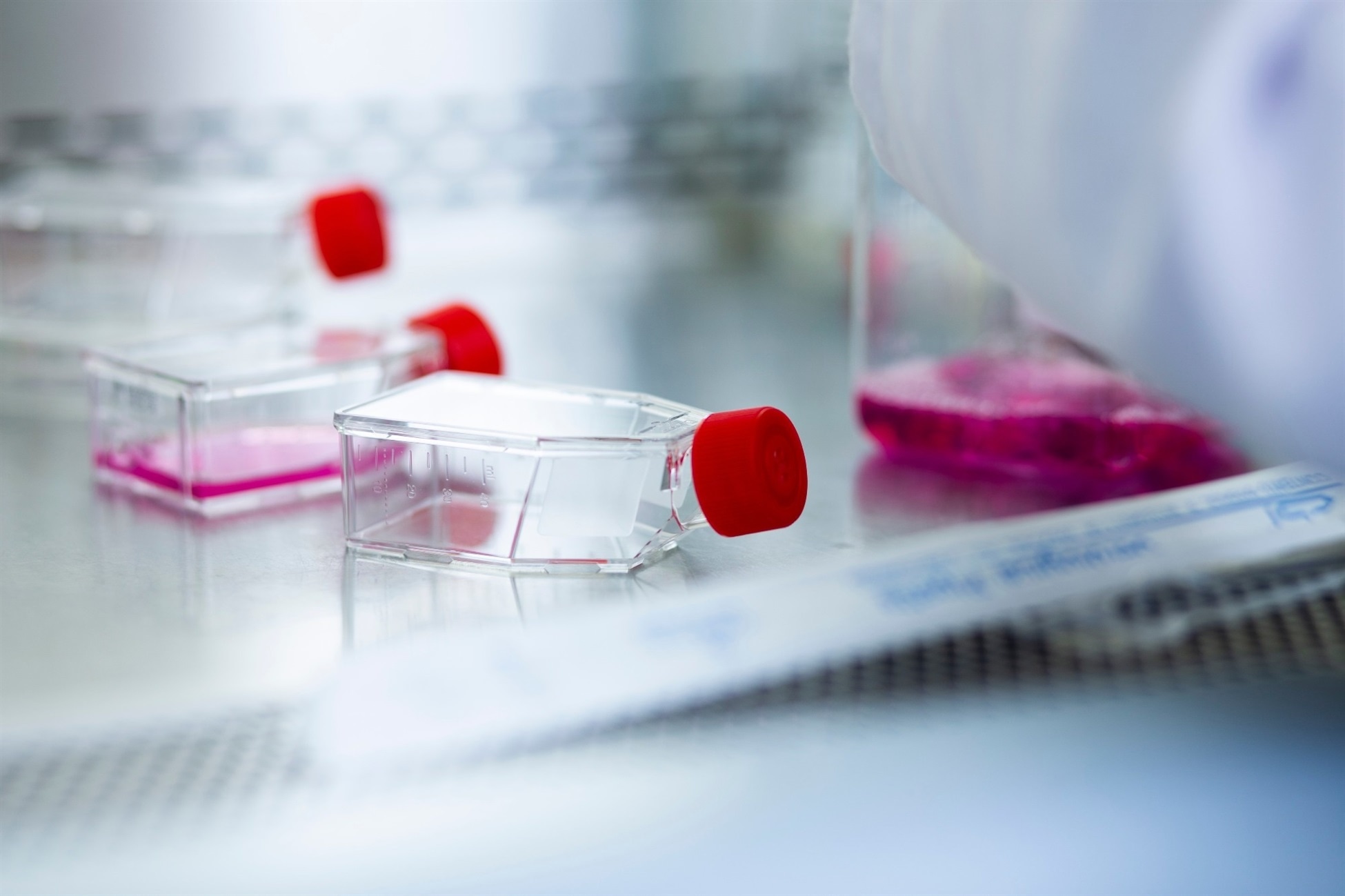 Real vs. Synthetic Tissue: Comparative Analysis