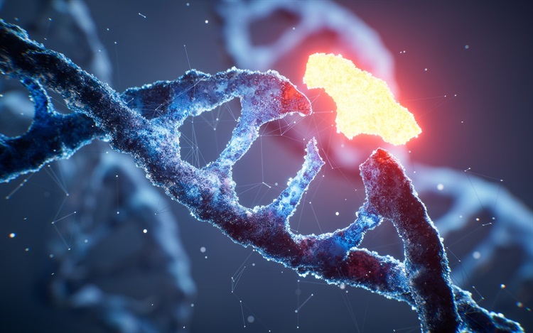 Advances in Gene Silencing and Editing for Rare Disorders
