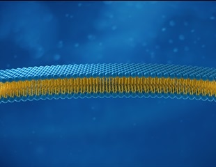 Protocell Uses in Biology
