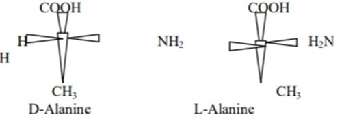 L and D Isomers