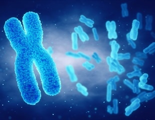 What is Phenomics and What Do Phenomics Studies Involve?