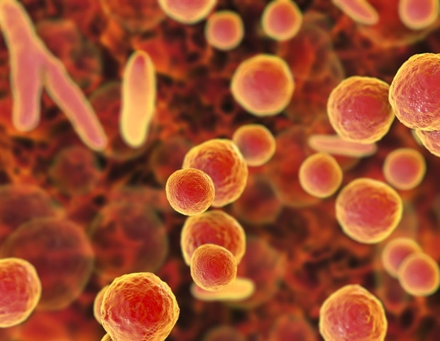 Examining Microbial Diversity Using Functional Genomics