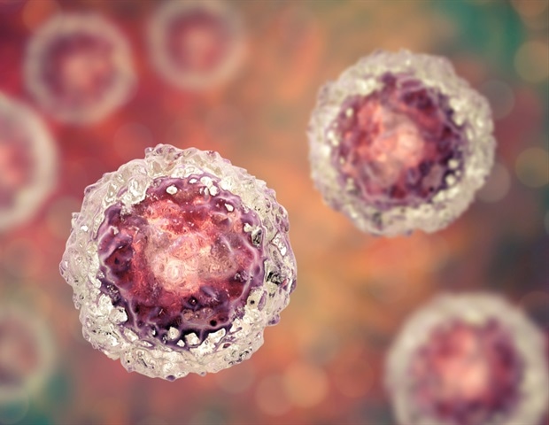 Pluripotent Stem Cells