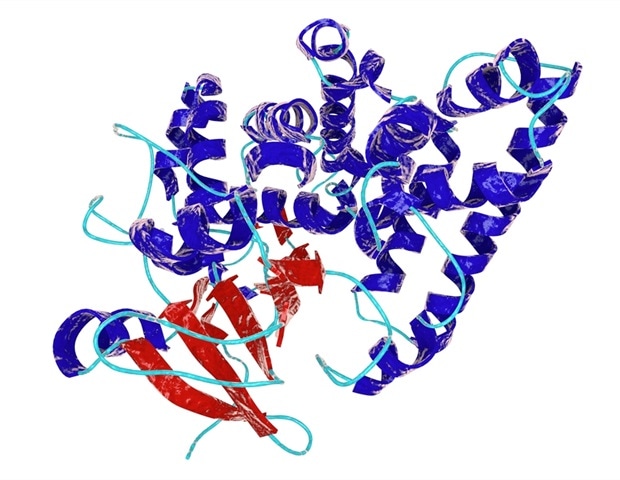 Exploring Biosynthetic Diversity