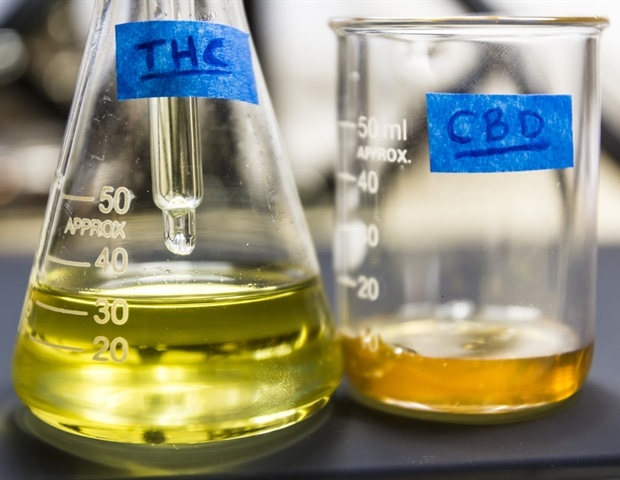 Mechanism of THC in the Body