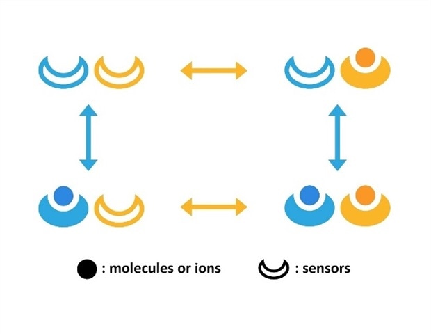 Model helps determine techniques used by cells