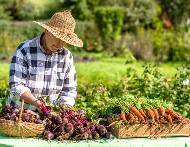 What is Organic Farming?