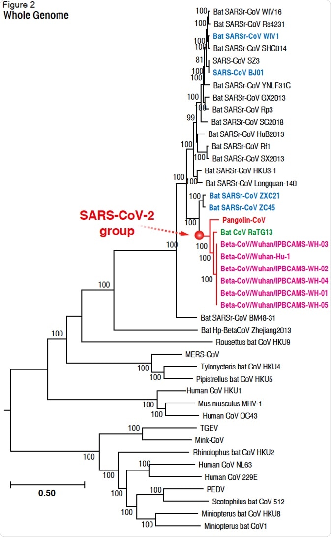 Bioinformatics Analysis During Wuhan Coronavirus Outbreak