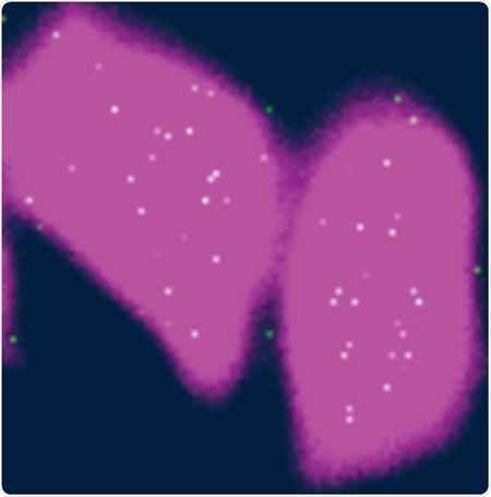 Evidence of the ‘metabolon’