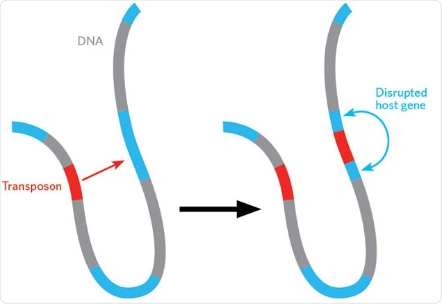 Transposons and Their Role in Causing Diseases