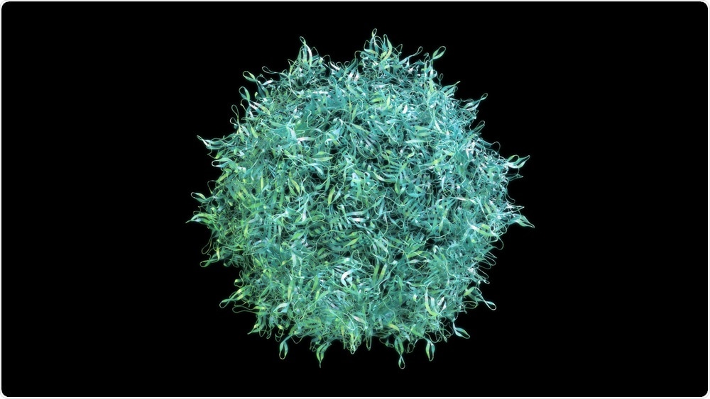 Preventing viral infections by protein shell misassembly