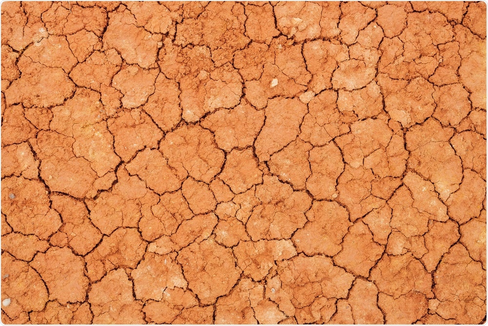 Climate Change and its Changes to Dryland