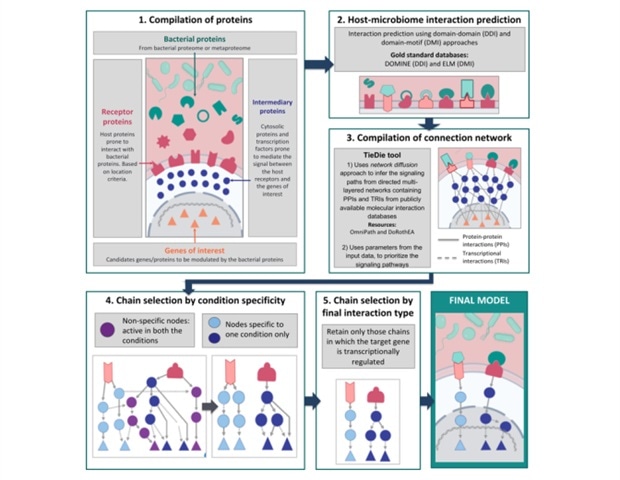 New tool shows how microbes influence health and promote diseases