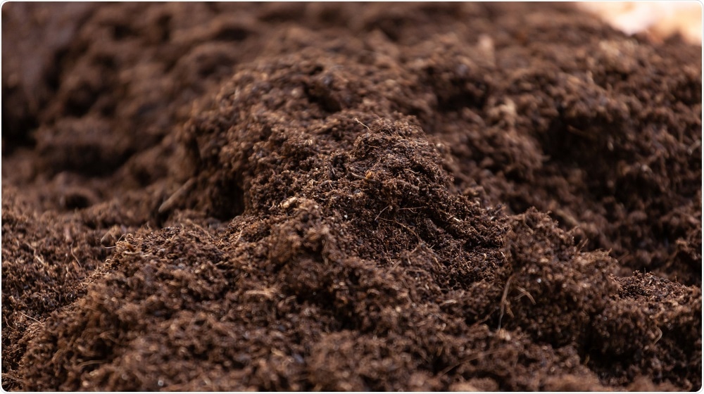 Modeling Gas Diffusion In Aggregated Soils