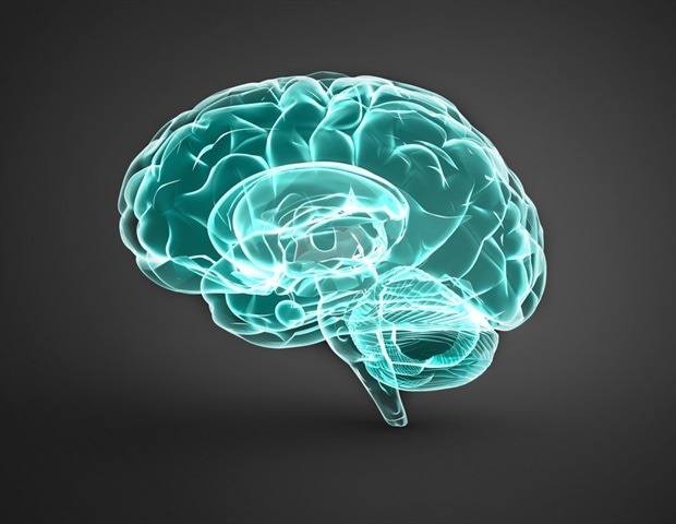 Study shows promise for treating developmental and epileptic brain disease