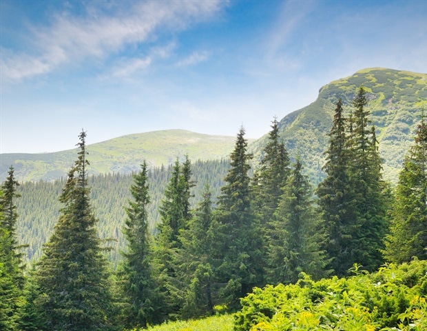 Climate extremes will cause forest changes