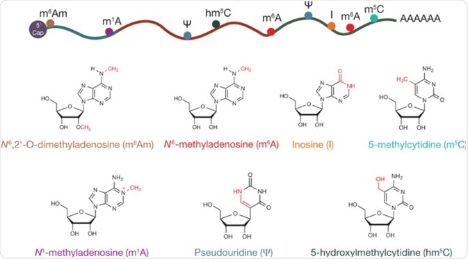 What is Epitranscriptomics?