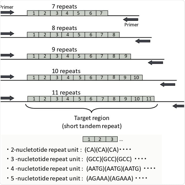 Bioinformatics Role in Forensic DNA