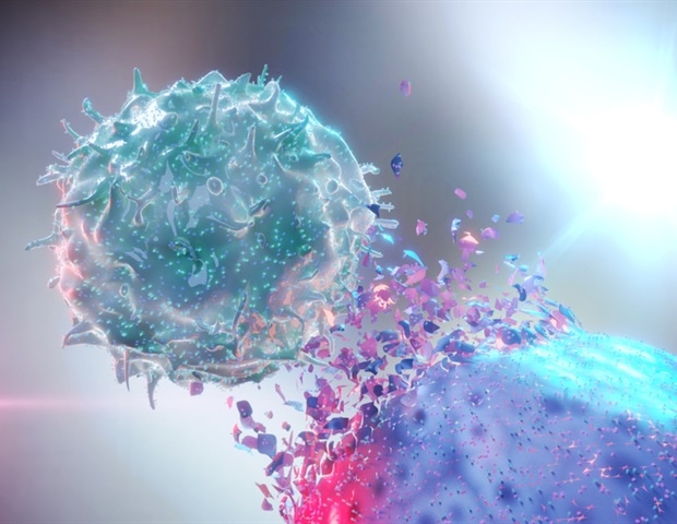 Engineered natural killer immune cells can directly kill tumor cells